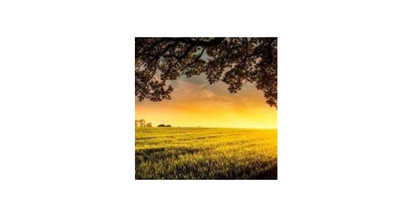 Mr. Randall Nelson Moore Obituary (2025) - Scottsboro, AL - Scottsboro ...