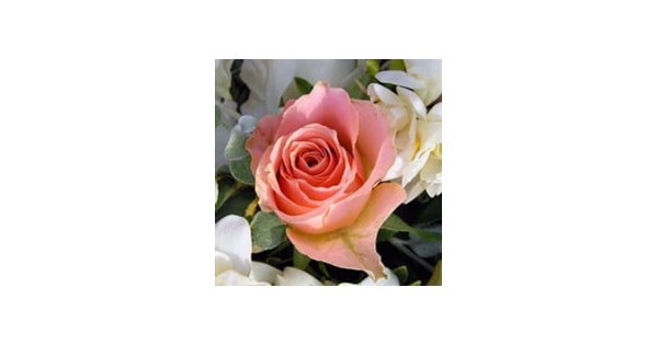 Maria Elisa Dobson Obituary (2023) - Roswell, NM - Anderson-Bethany ...