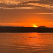 Cathy M. Abramson Obituary (2024) - Sault Ste. Marie, MI - Family Life ...