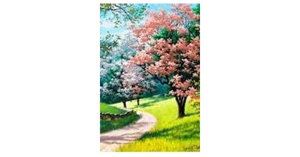 Carla Jean Perry Obituary (2024) - Redding, CA - Allen & Dahl Funeral ...