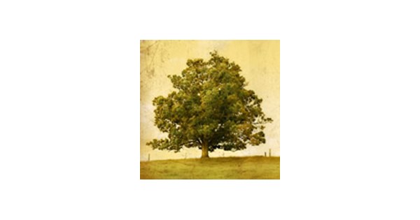 Rick F Taylor Obituary (2026) - Waverly, OH - Botkin Hornback Funeral ...