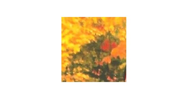 Mr. Kenneth Roberson Obituary (2024) - Kansas City, MO - Lawrence A ...