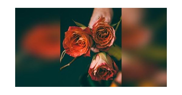 Sharon D. Malecki Obituary (2022) - Owen, WI - Maurina/Schilling ...