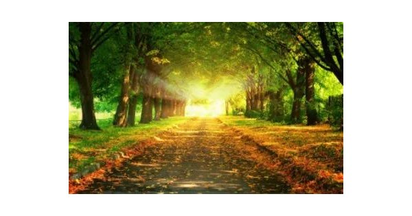 Mark Ward Obituary (2025) - Modesto, CA