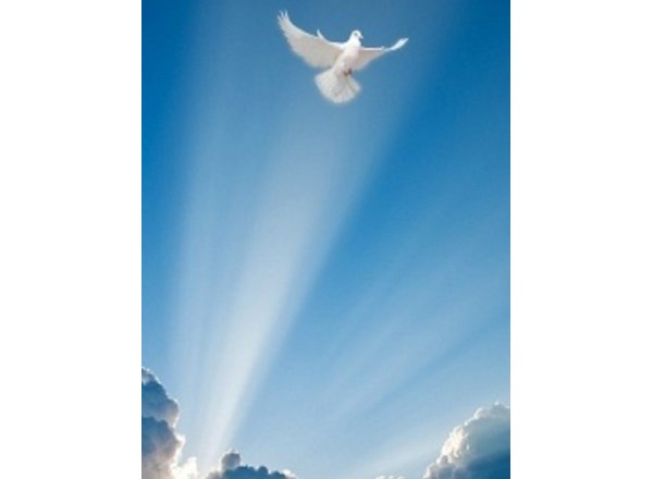 Ricci Richard Beam Obituary (2026) - Parsippany, NJ - Par-Troy Funeral Home
