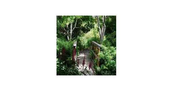 Judy Bassett Obituary (2025) - Corvallis, OR - McHenry Funeral Home ...