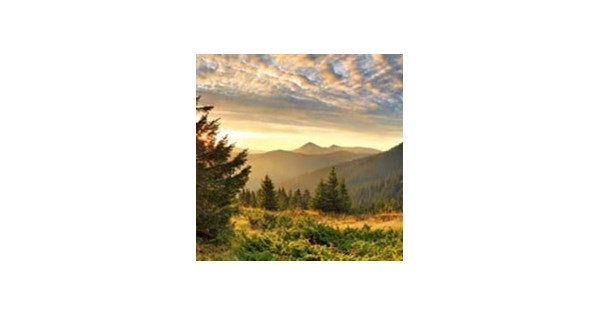 Mr. Samuel "Sammy" Hart Obituary (2023) - Royston, GA - Pruitt Funeral ...