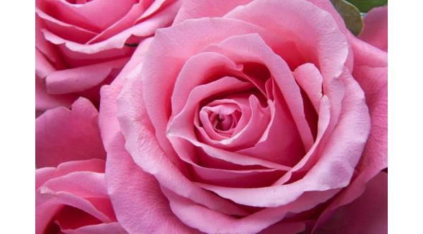 Anita Lovejoy Obituary (2026) - Moxee, WA