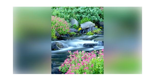 Tracy Haney Obituary (2023) - Gainesboro, TN - Anderson Upper ...