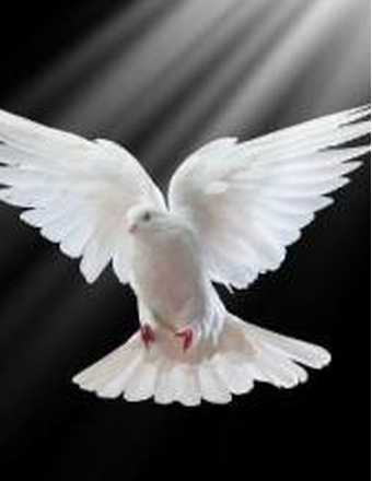 Mr. Shannon Franklin Berry Sr. Obituary (2026) - Newport News, VA - C ...