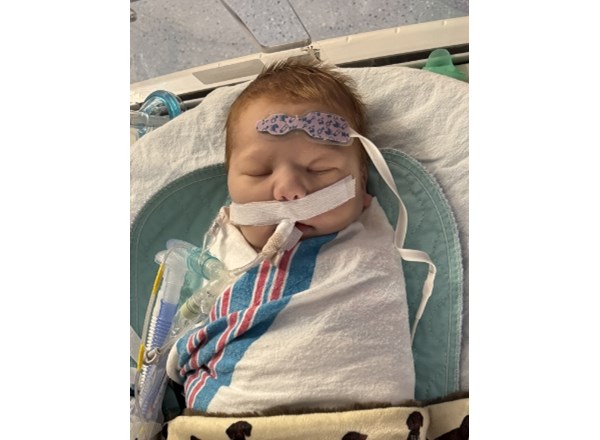 Reed Michael Kramer Obituary (2026) - St. Louis, MO - Coder Funeral ...