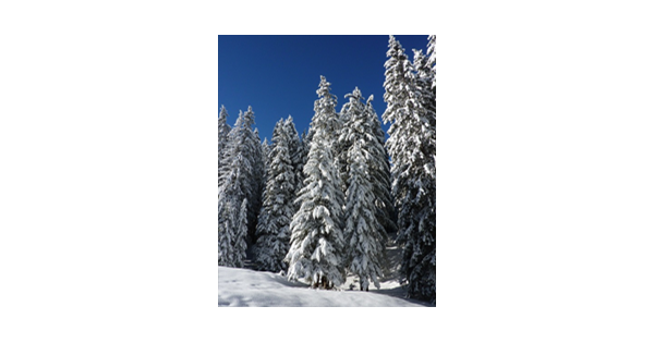 Susan Marcella Corwin Obituary (2025) - White Cloud, MI - Crandell ...