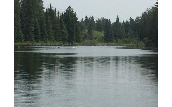 Sandra Jean Lewis Obituary (2023) - Sylvania, OH - Reeb Funeral Home