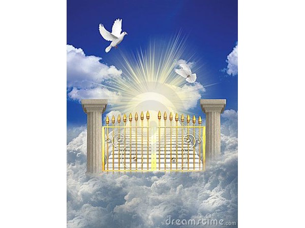Mr Steven Lamonte Gaither Obituary (2025) - Winnsboro, SC - Russell ...