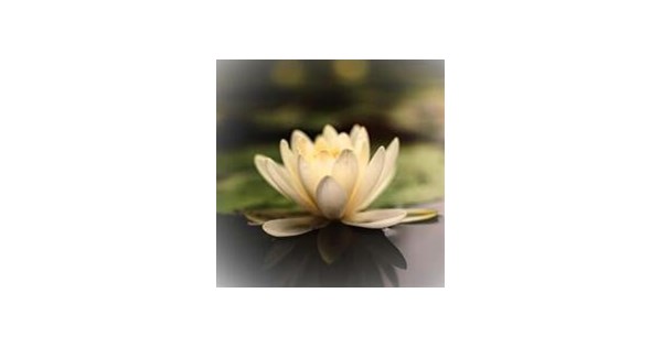 Dr. Sarvadaman S. Rana Obituary (2024) - Nashville, TN - Phillips ...