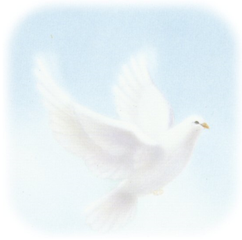 Yvonne Krumm Obituary (2026) - Mitchell, SD - Bittner Funeral Chapel ...