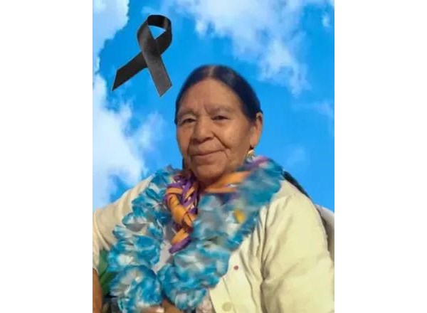 Elena Tapia Vallejos Obituary (2025) - Lake Worth, FL - All County ...