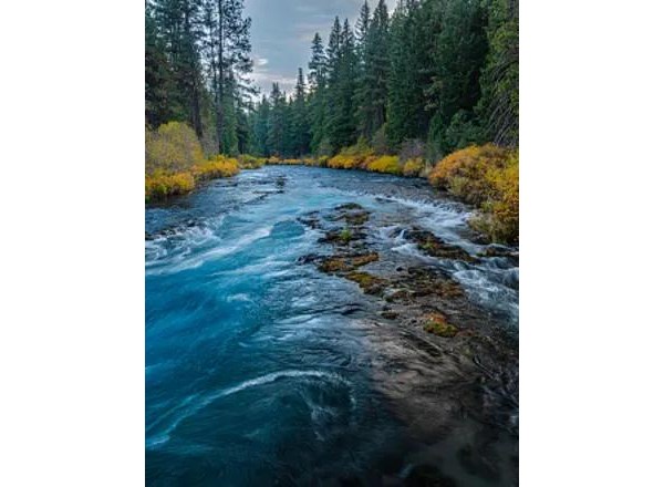 Brian Von Haden Obituary (2024) - Medford, OR - Conger-Morris Funeral ...