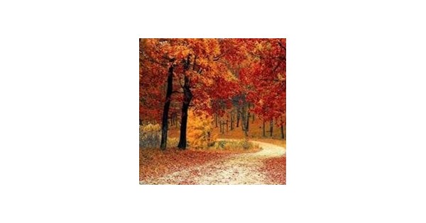 James Martin Evans Obituary (2025) - Buford, GA - Flanigan Funeral Home ...