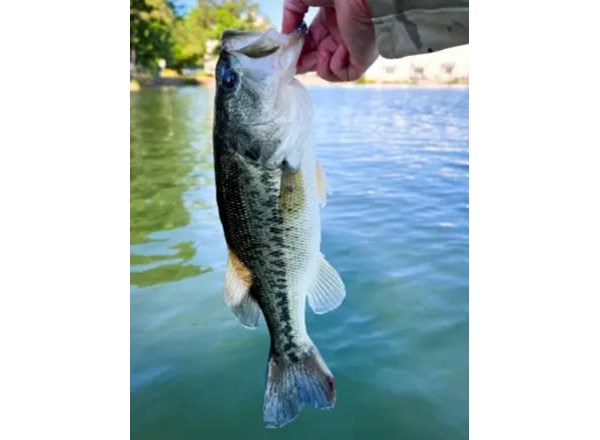 Kent Lee Obituary (2024) - Wilmington, NC - Wilmington Funeral ...