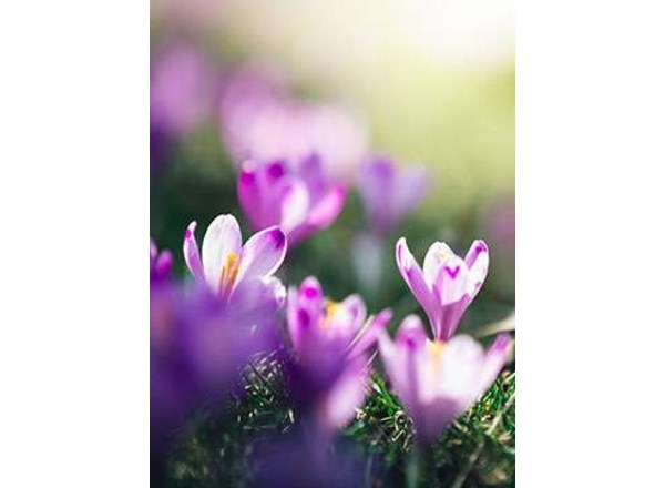 Judy Salas Obituary and Online Memorial (2026)