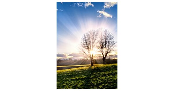 Miguel A. Acevedo Obituary (2026) - Countryside, IL - Hallowell & James ...