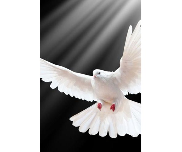 Jeanetta Felton Obituary (2026) - McDonough, GA - Sylvain Funeral Home ...