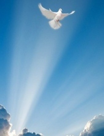 Helen Lynch Obituary and Online Memorial (2026)