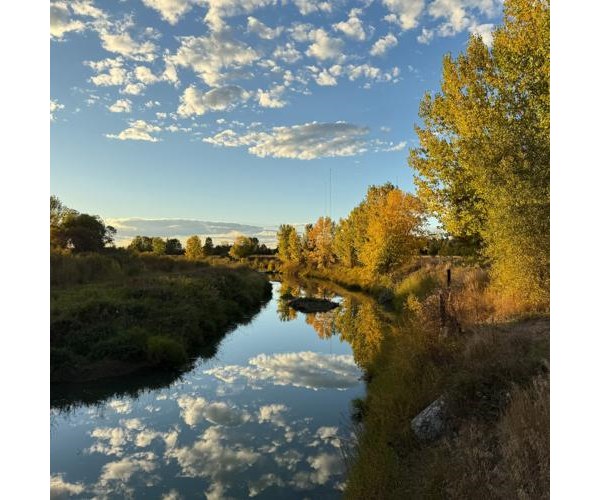 Ralph Felton Obituary and Online Memorial (2026)