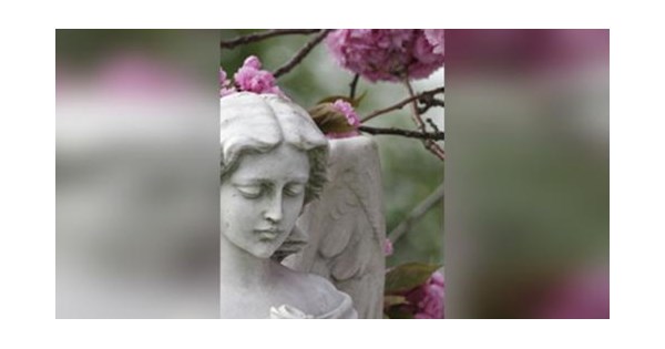 Nancy Carolyn Pruitt Obituary (2022) - Litchfield, MI - Eagle Funeral ...