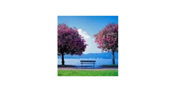 Marcie L. Horn Obituary (2026) - Port Huron, MI - Jowett Funeral Home ...