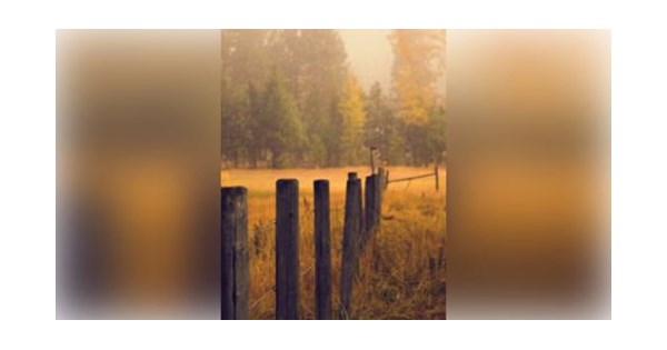 Steven Gordon Hubschman Obituary (2023) - Spring Hill, FL - Brewer ...