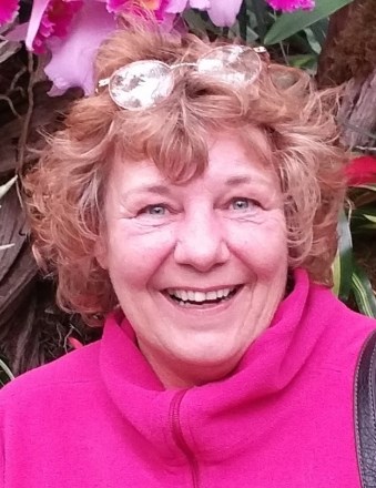 Sandra Gail Wible Obituary (2026) - Bay City, MI - Trahan Funeral ...
