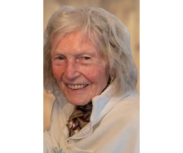 Louise Ann Davis Obituary (2022) - Brookfield, IL - Johnson-Nosek ...