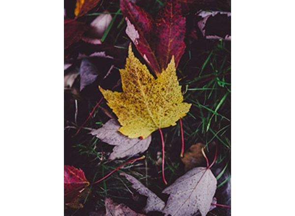 FLOYD JACK RUIZ JR Obituary (2025) - Riverside, CA - Arlington Mortuary