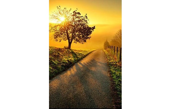 Pamela K. Rayburn Obituary (2026) - Anderson, CA - Allen & Dahl Funeral ...