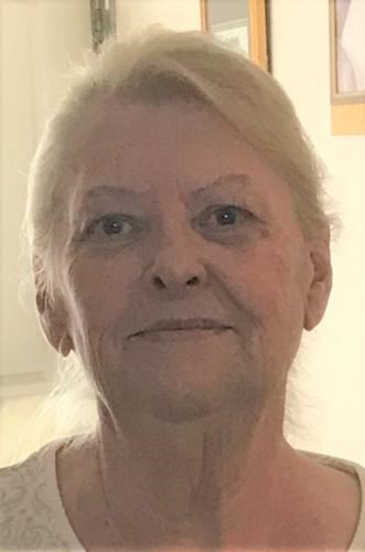 Sally Ann Harper Obituary (2023) - Monroe, MI - Merkle Funeral Service ...