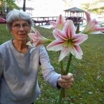 Dera Geraldine Luster Obituary (2026) - Millbrook, AL - Prattville ...