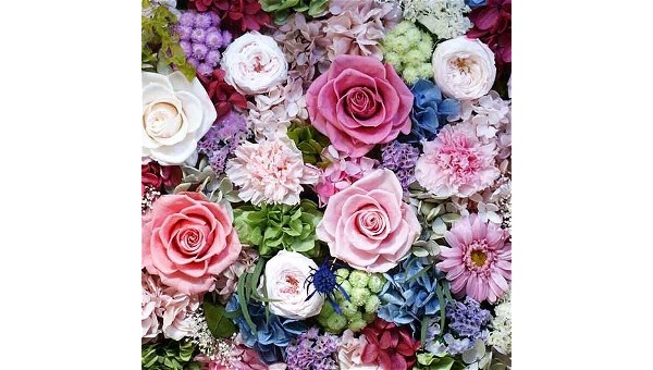 Jolene Lowther Obituary (2026)