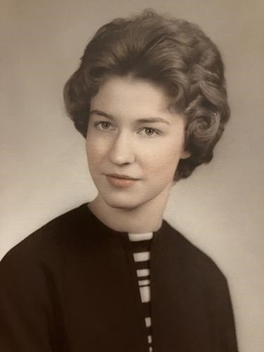 Diana Leone Wahlstrom Obituary (2023) - Minneapolis, MN - Cremation ...