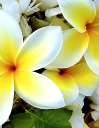 Margaret Moellenbrink Obituary and Online Memorial (2026)