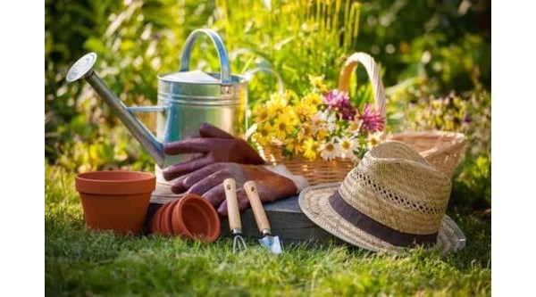 Patricia Ann Liverman Garris Obituary (2023) - Murfreesboro, NC ...