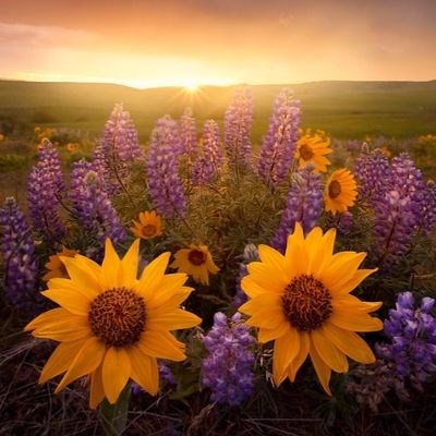 Ruth Wells Obituary (2025) - Fultonville, NY - Betz, Rossi Bellinger ...