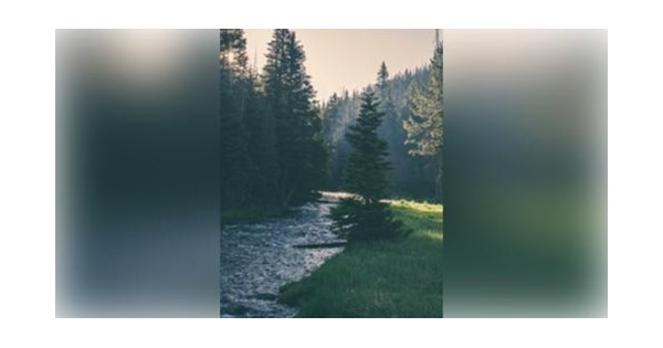 Mr. Edwin Morris Simmons Obituary (2023) - Dallas, GA - Benson Funeral ...