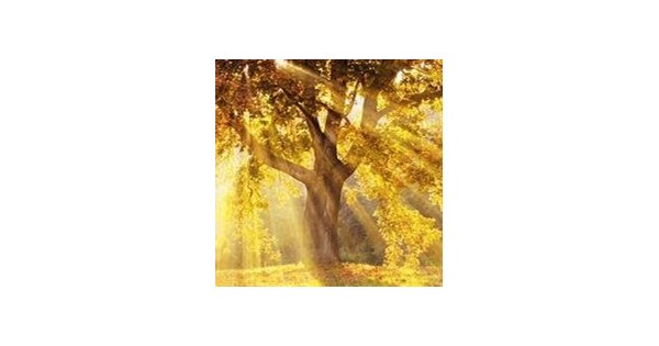 Edward A. Gartner Obituary (2025) - Tallahassee, FL - Bevis Funeral ...