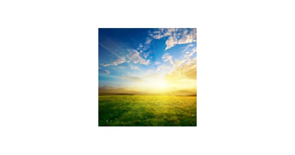 James E. "Jim" Ward Obituary (2025) - Spencer, WV - Taylor-Vandale ...