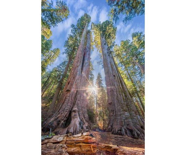 Michael J. Delong Obituary (2024) - Angels Camp, CA - Angels Memorial ...