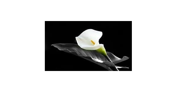 Douglas Coe Obituary (2024) - El Paso, TX - Martin Funeral Home West