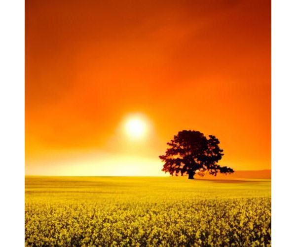 John "Camdenton" Benakis Obituary (2026) - Camdenton, MO - Allee-Holman ...