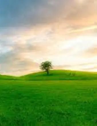 Kenneth R. Boyle Obituary (2025) - McMechen, WV - Altmeyer Funeral ...